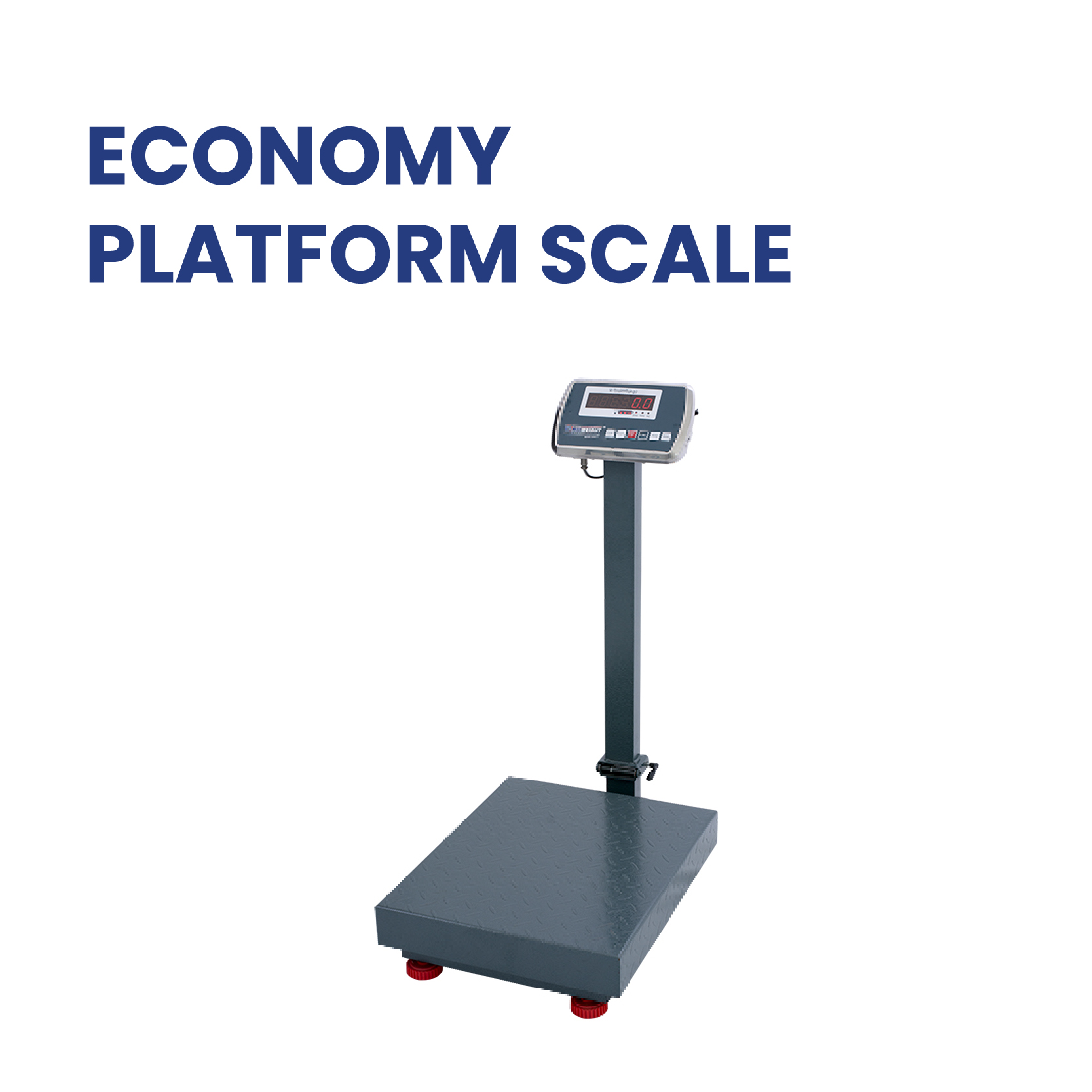 PLATFORM SCALE